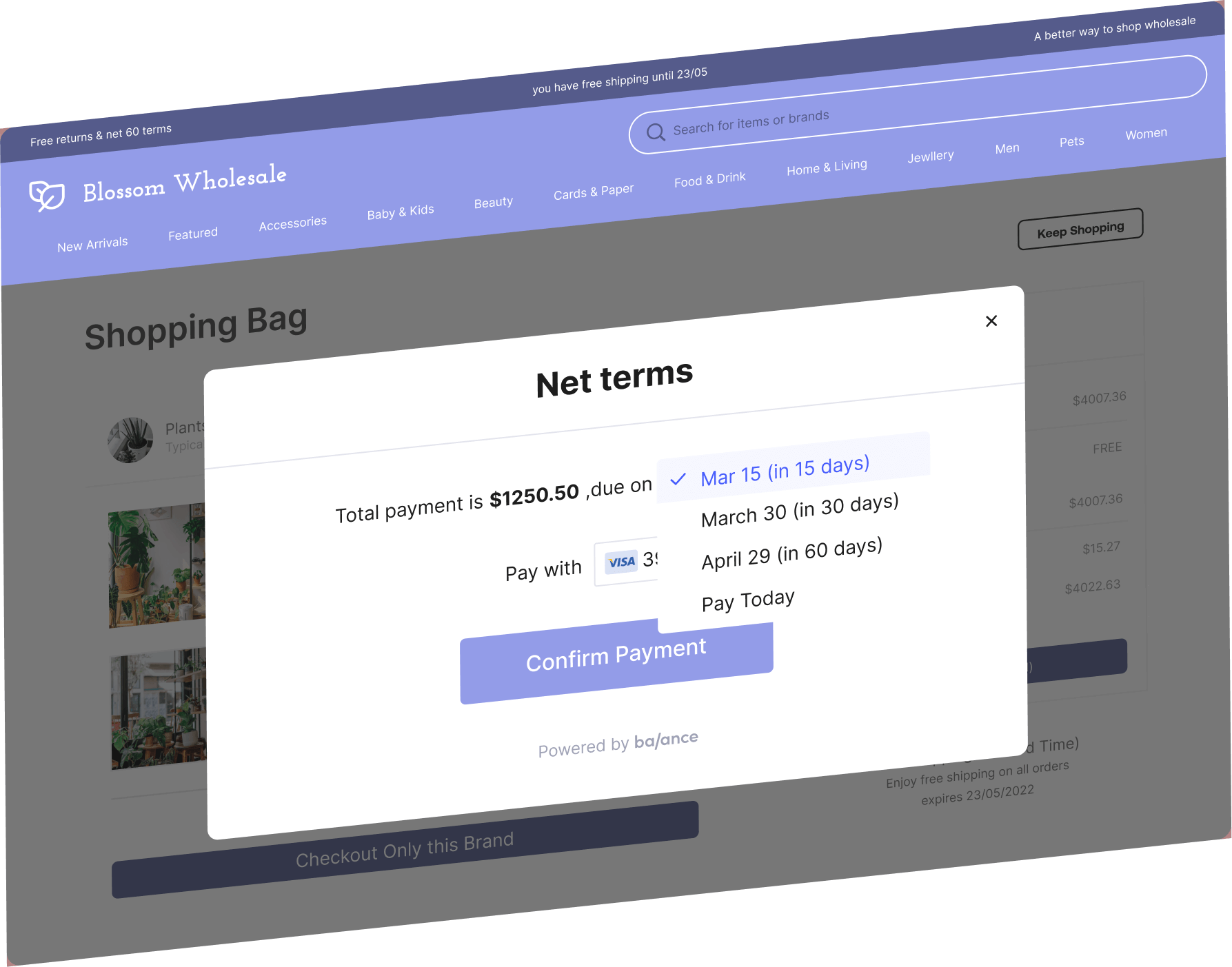 balance-enable-b2b-payment-processing